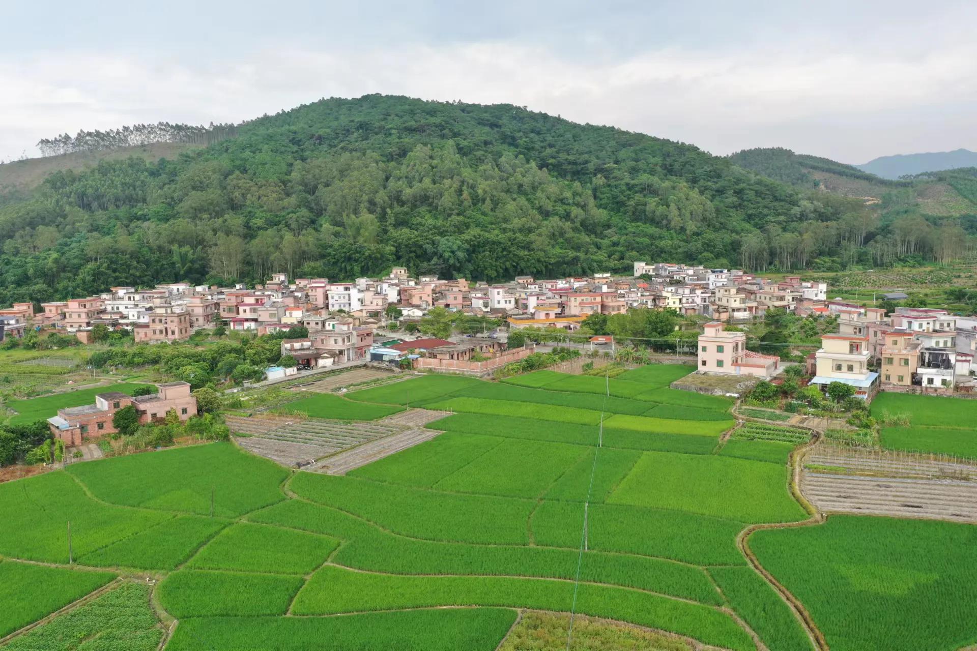 Huang Lihong, inheritor of handmade firewood dumplings: the taste of ...