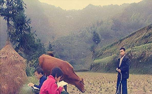 Sun Li funded the "white-eyed wolf" for 4 years, but was scolded for ...