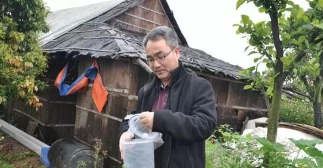 Guangzhou "mosquito factory": produces 360 million "mosquitoes" every ...
