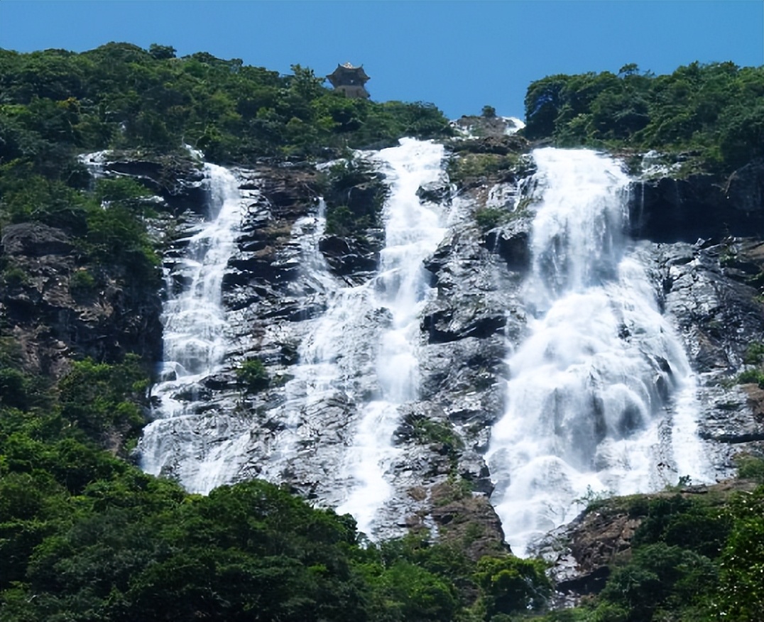 Bai Lian flies like a rainbow, Bai Narcissus falls to the world - iMedia