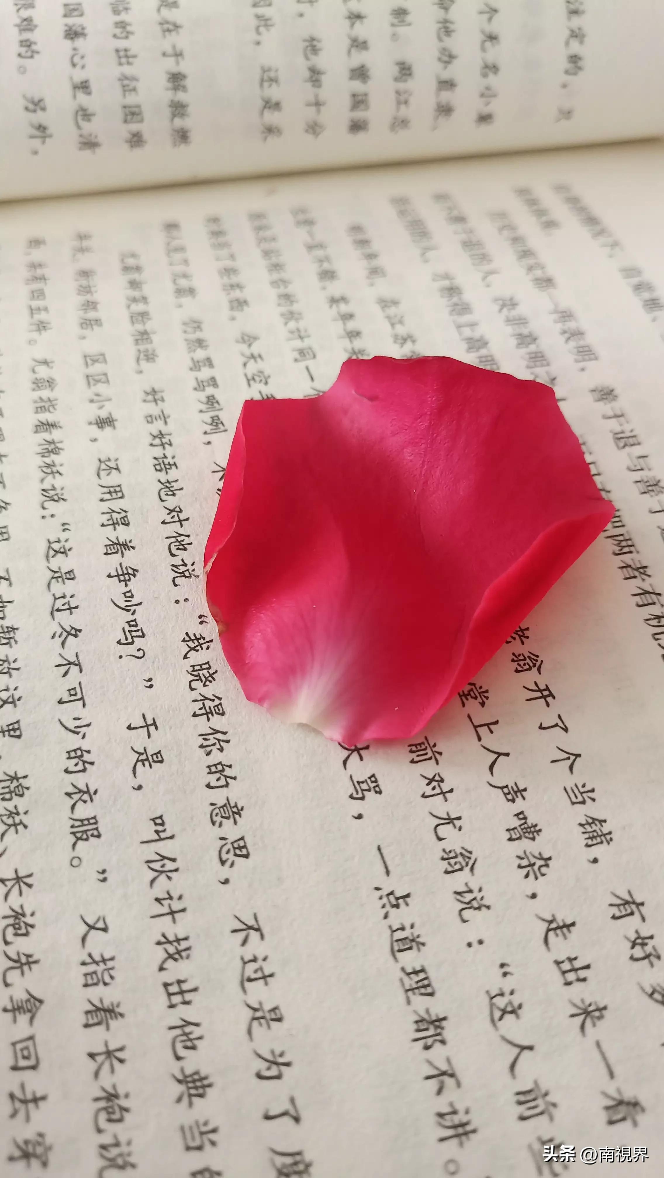 Notes on falling flowers - iNEWS