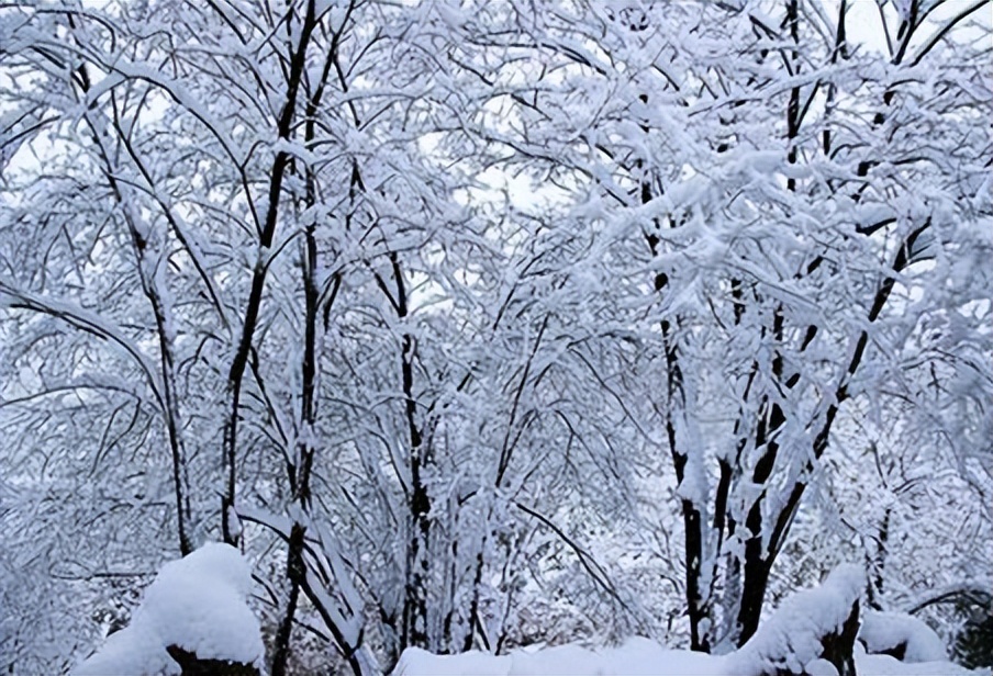 Among the 10 most poetic "snow" poems, [Jiang Xue] ranks third. Which ...