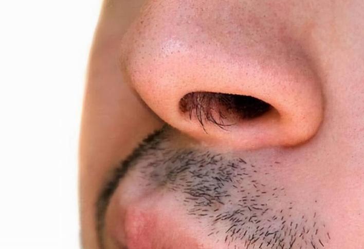 What is the difference between men with protruding nose hairs? What ...