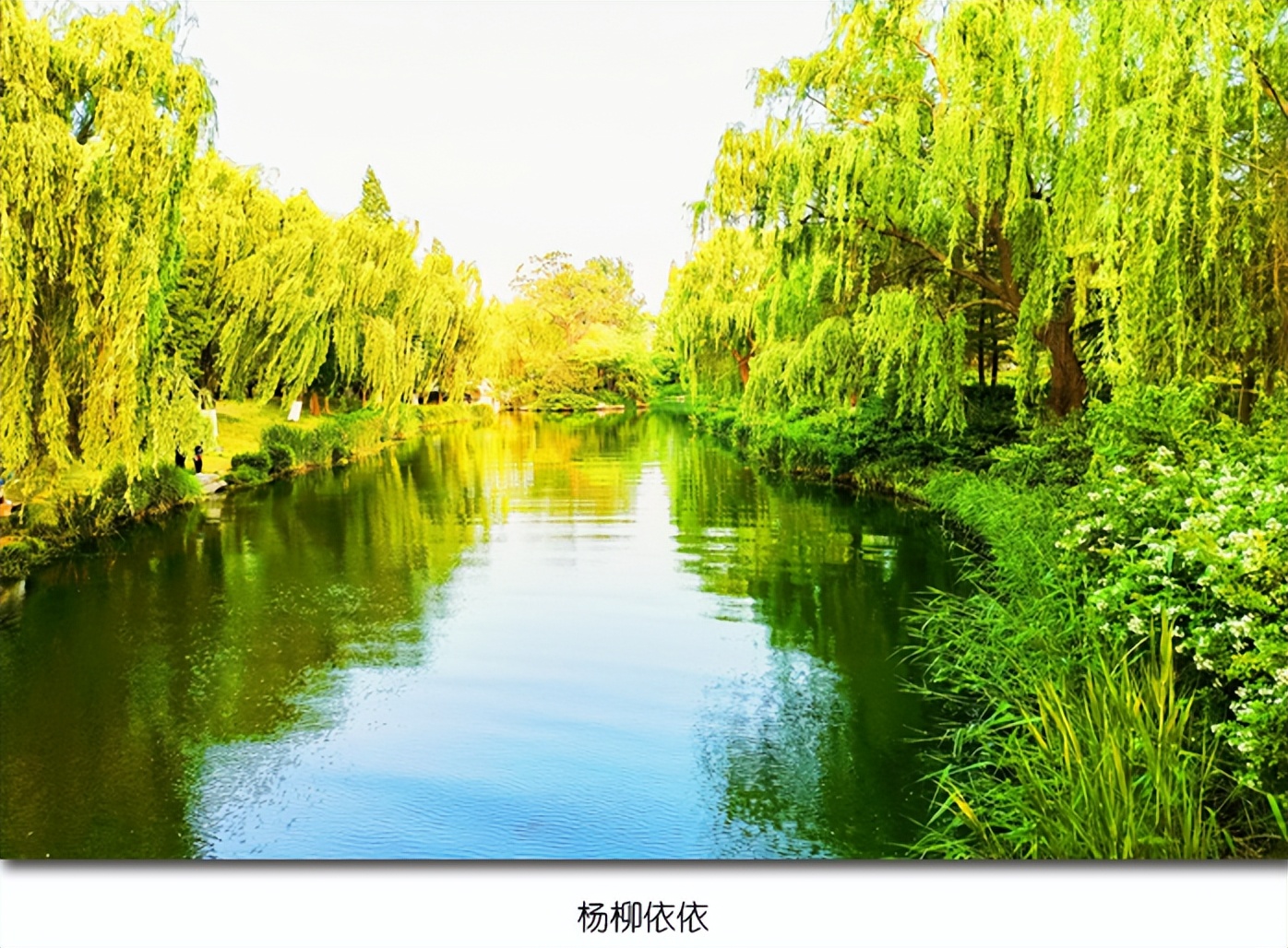 Do you still remember the beauty of Daming Lake? - iNEWS