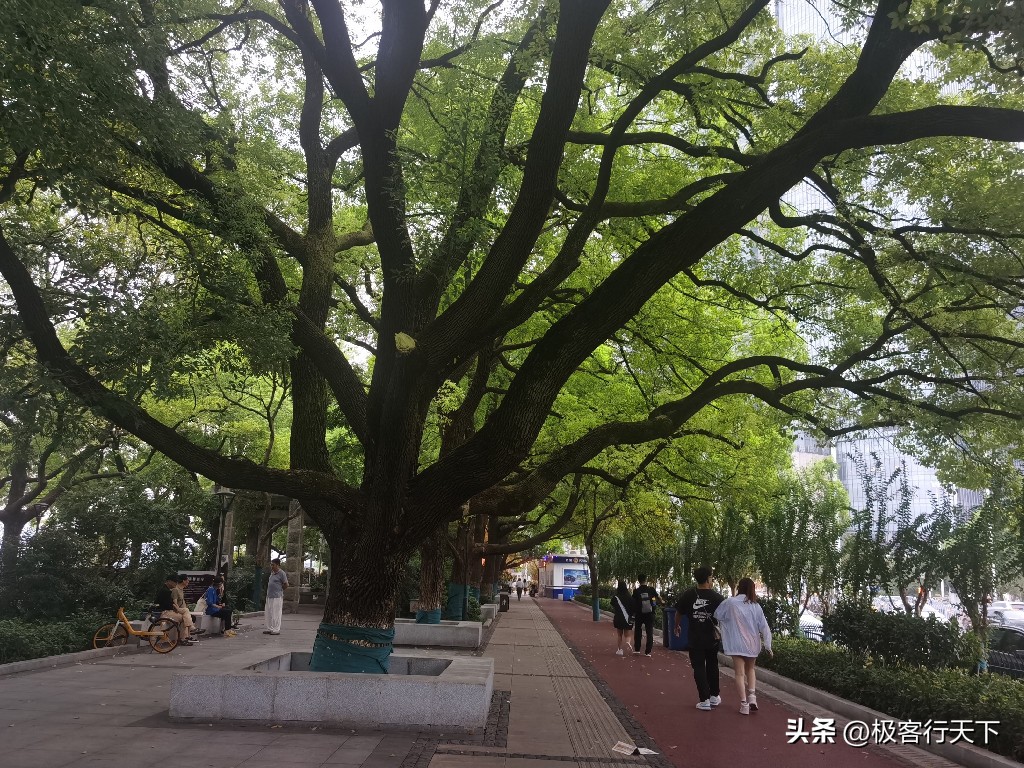 Changsha Du Fu Jiang Pavilion recalls the ancient times and sighs the ...