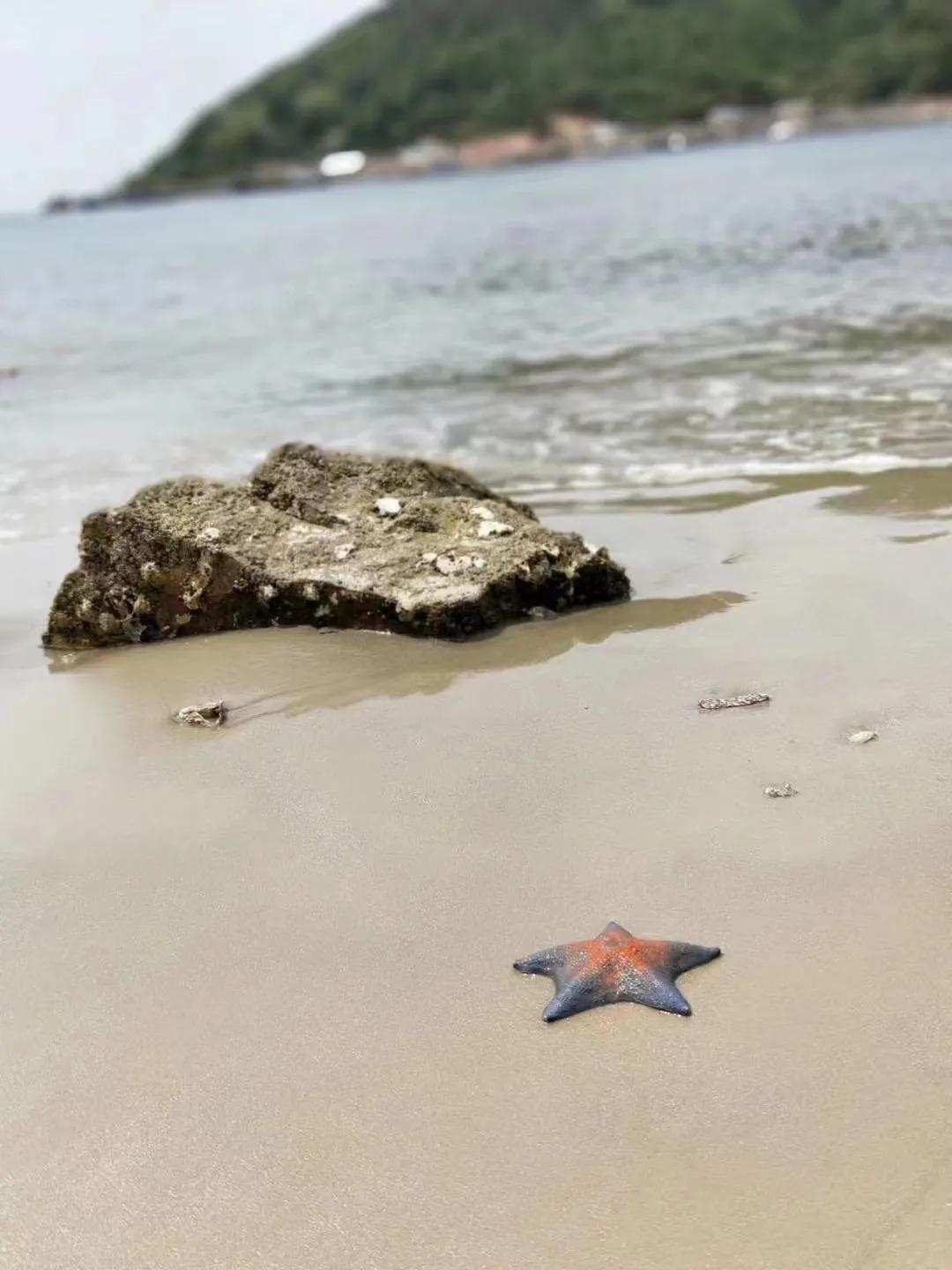 Tired, tired, lost... Come to the beach - iNEWS