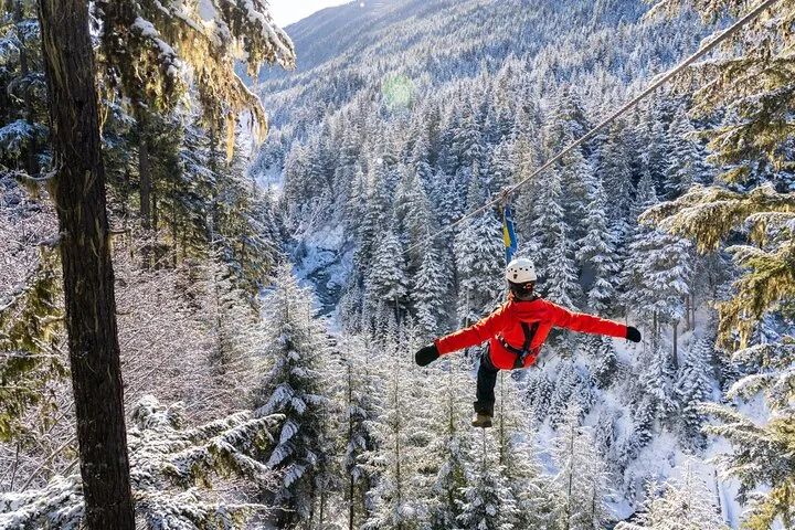 Canada's "Zipline Country"!Which Ziplines are the most worthwhile to ...