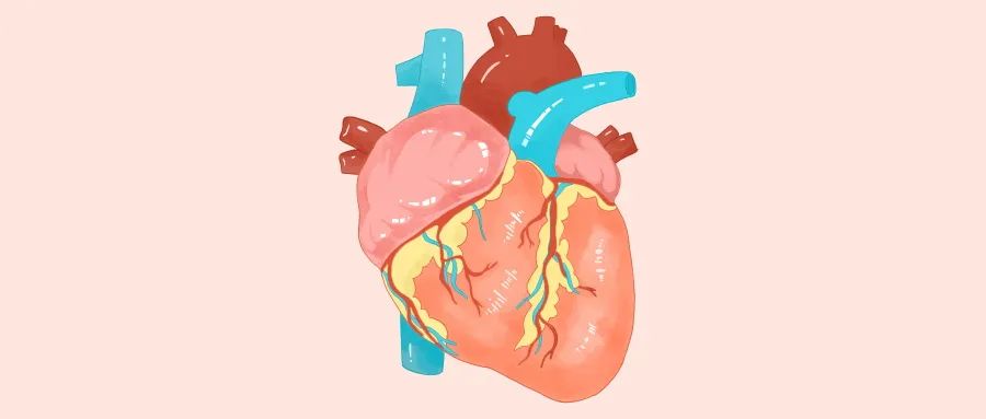 Sudden "stinging pain" in the chest for a few seconds, is it a heart ...