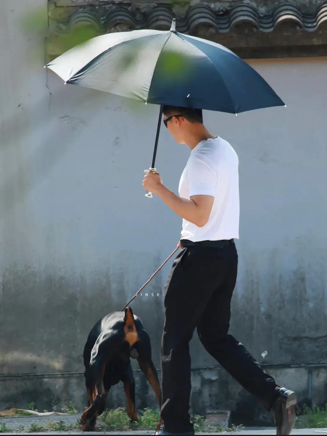 President Huang Jingyu and his dog - iNEWS