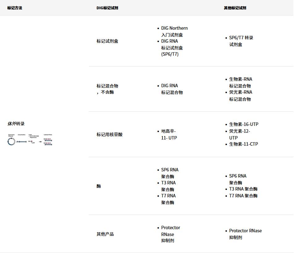 Digoxin (DIG) labeling method - iNEWS
