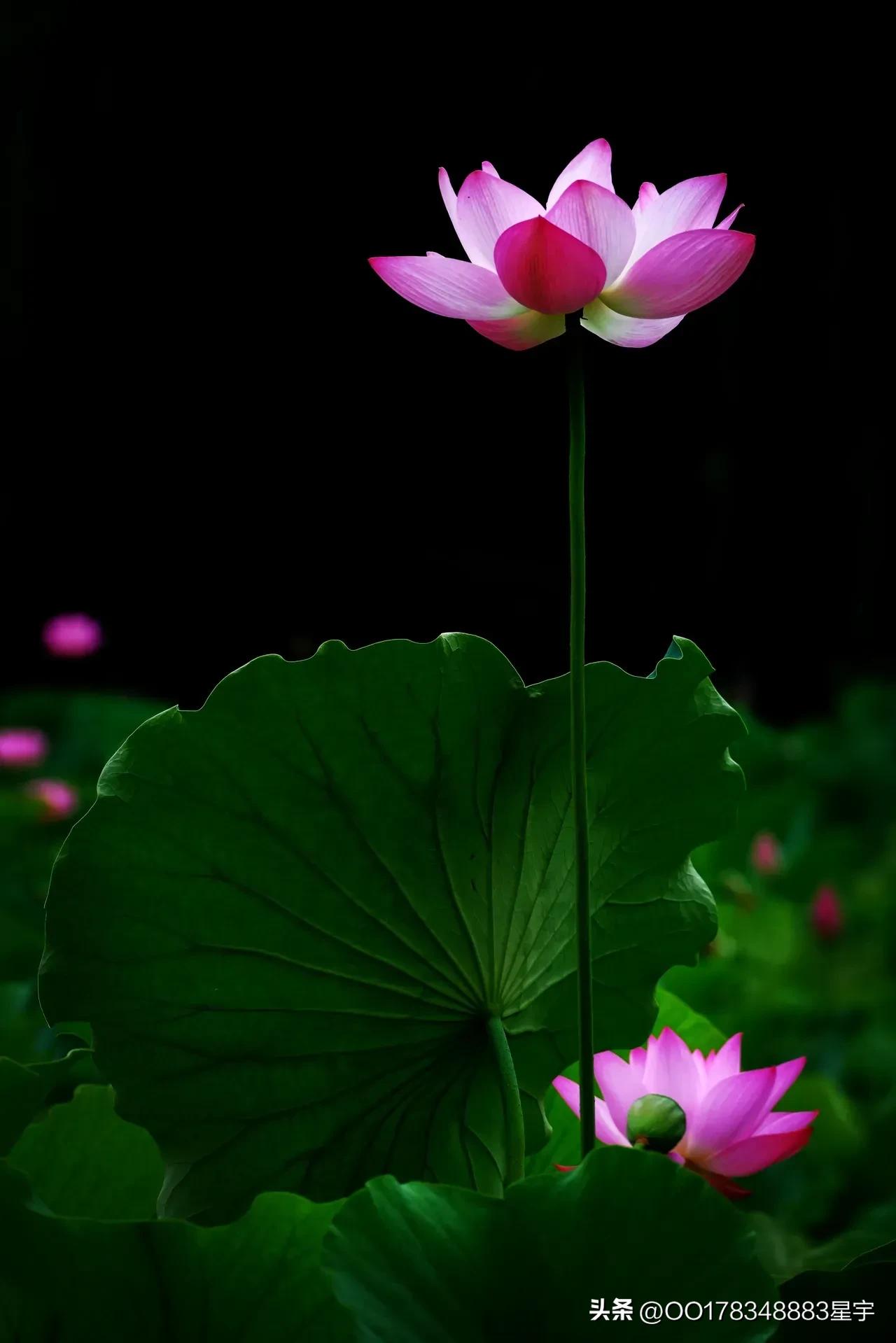 Friends please cherish your health - iMedia