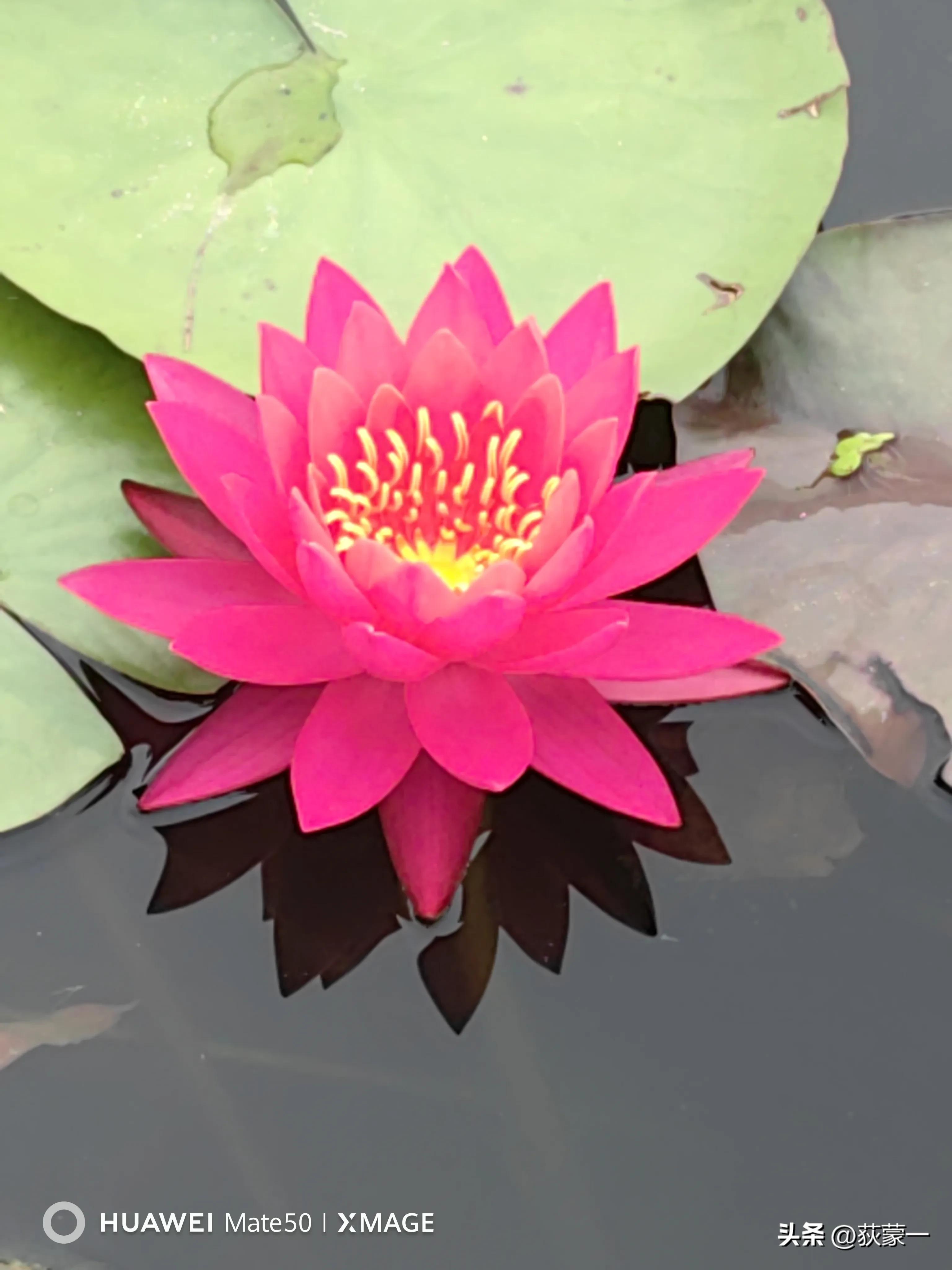 A different kind of miss - iMedia