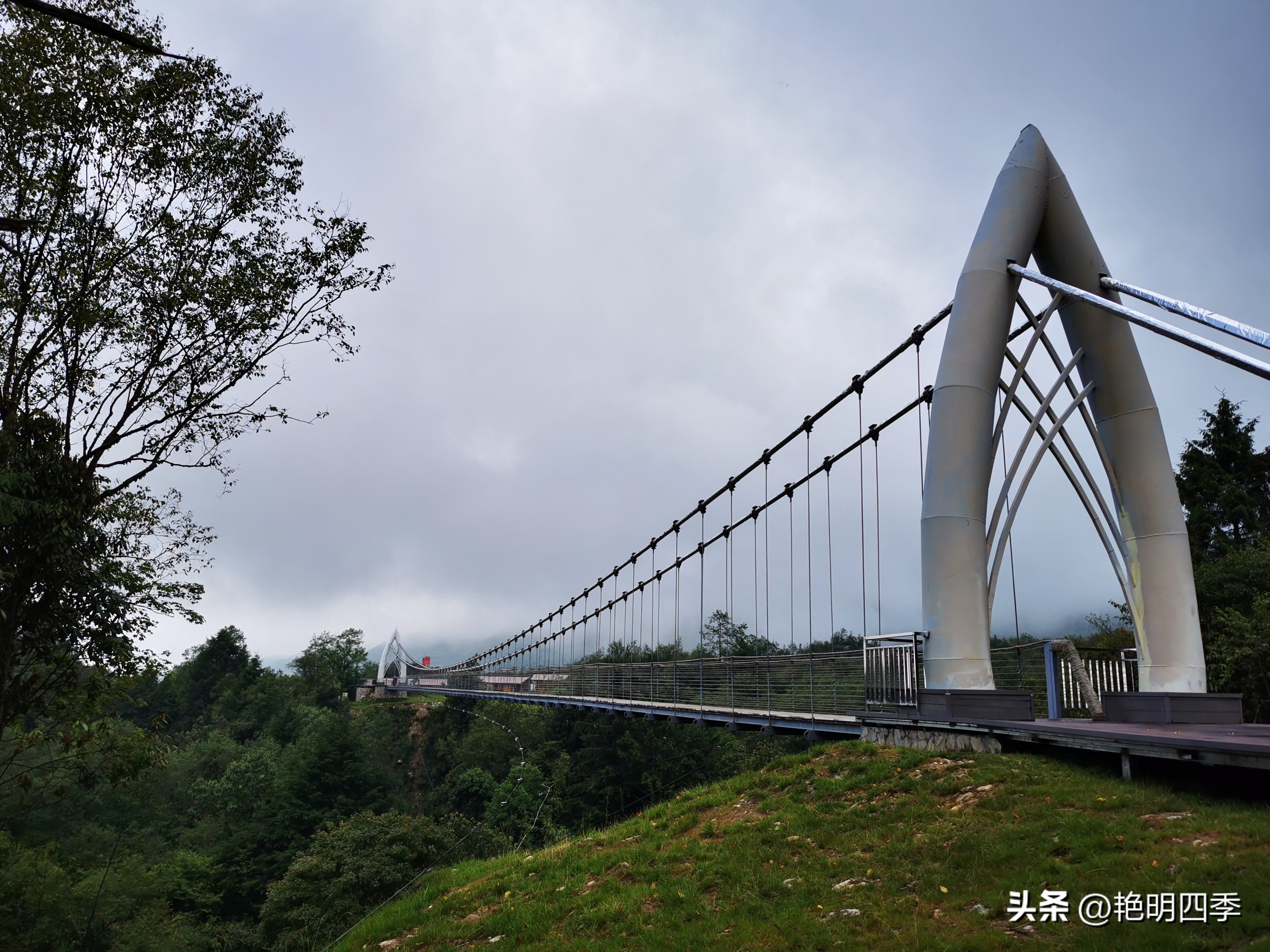 Menghuo City, an alpine meadow blooming with golden flowers - iMedia
