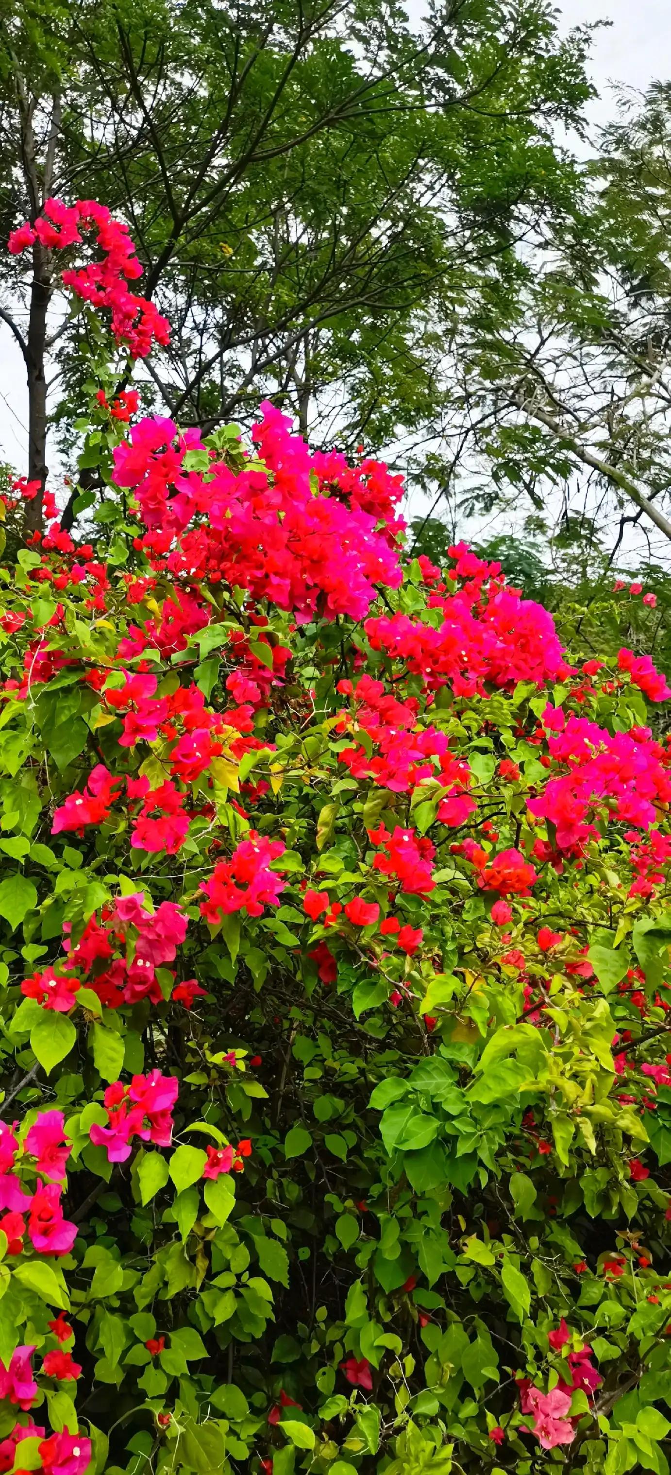 Seven Wonders·Xichun - iNEWS