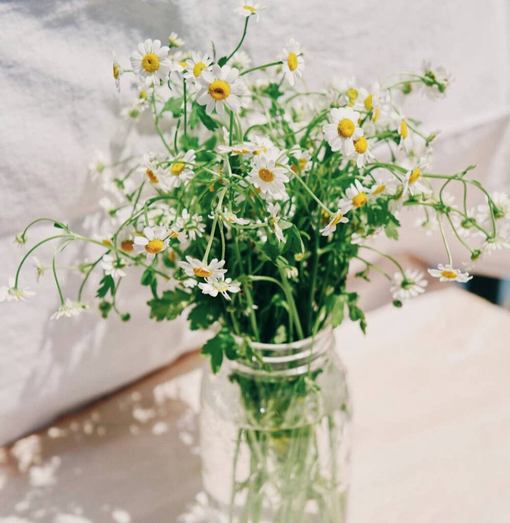 Sincere, also has the constellation of the city, kind and sharp, can ...