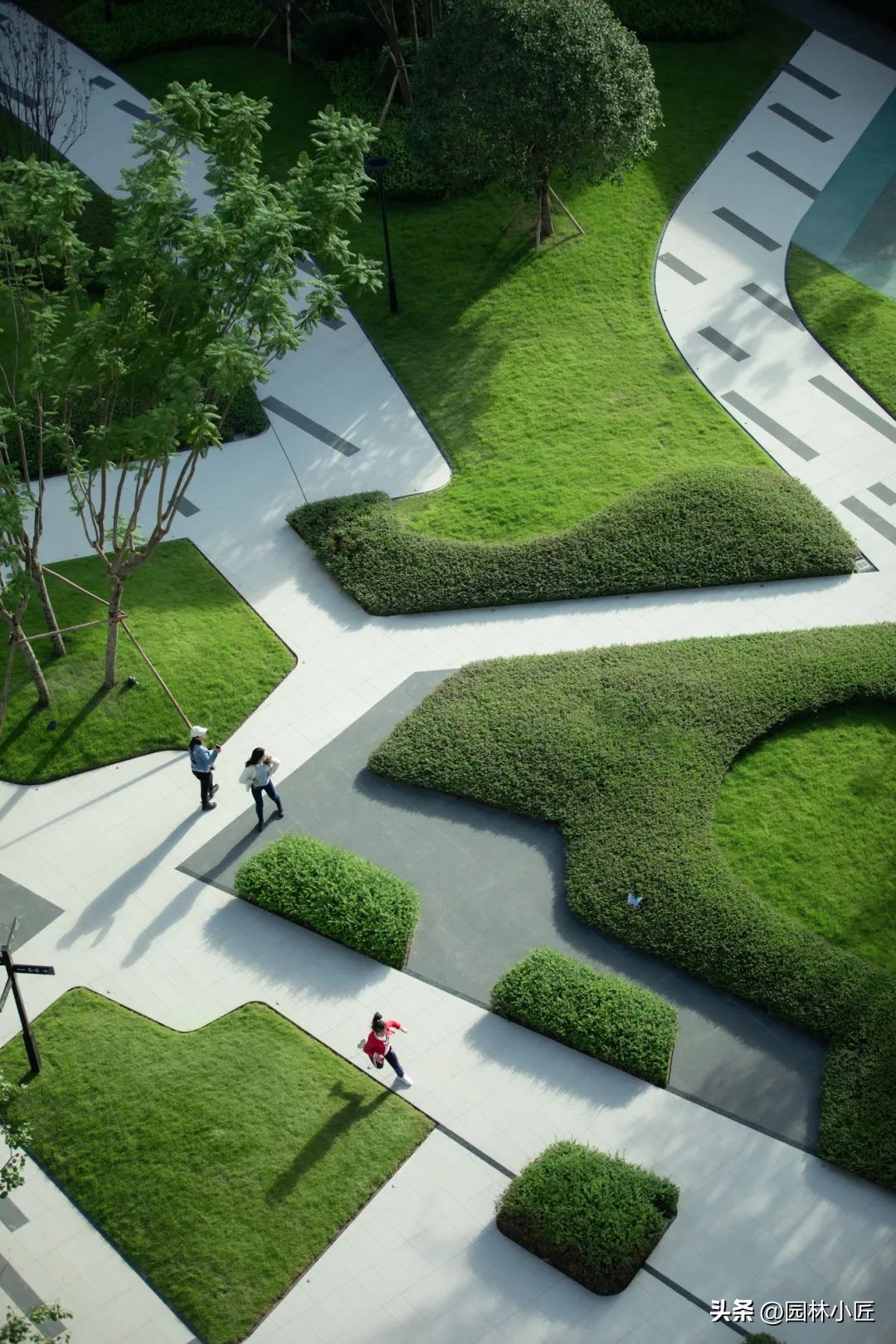 Garden ground cover landscape plant landscape effect case appreciation ...