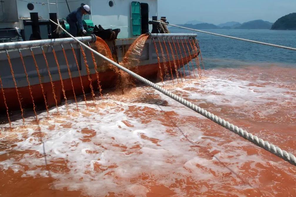 Will you reap the consequences? One million farmed fish died in ...