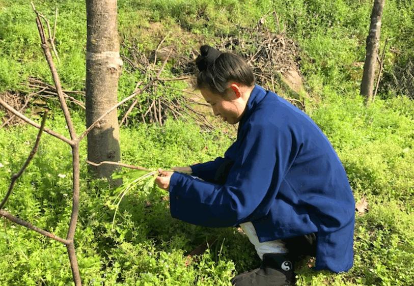 The mysterious female Taoist priest of Luofu Mountain reveals the ...