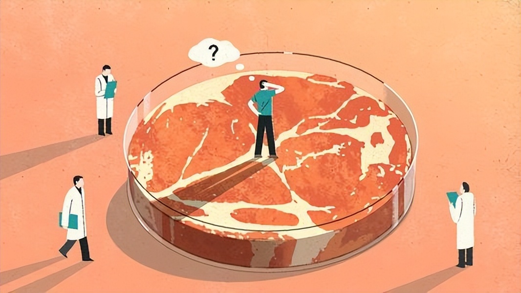 Artificial meat: the principle behind the birth - iMedia