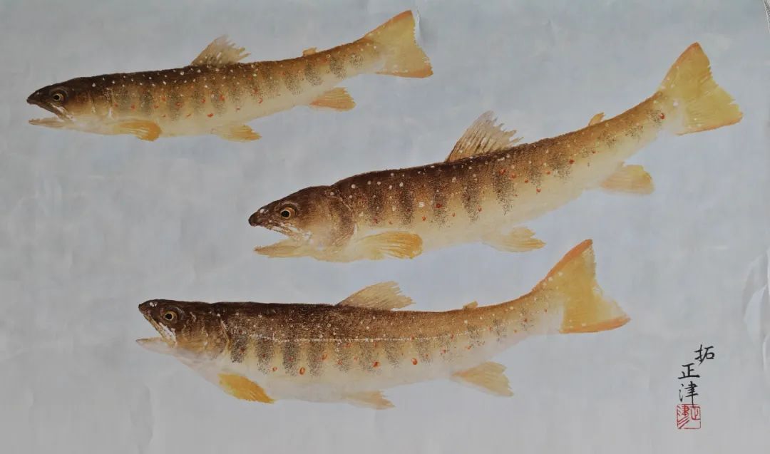 Japanese Gyotaku Master Masatsu Matsunaga Passes Away - iNEWS