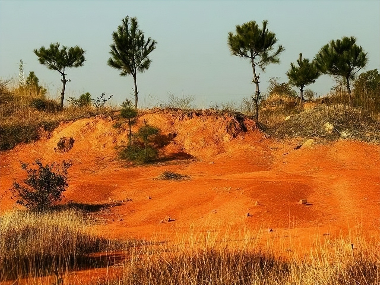 A Brief Discussion on the Study of South Africa's Environmental History ...