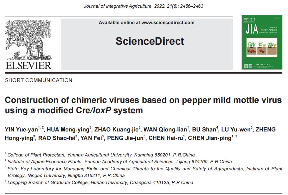 Optimization of Chimera Virus Vector Construction Technology of ...