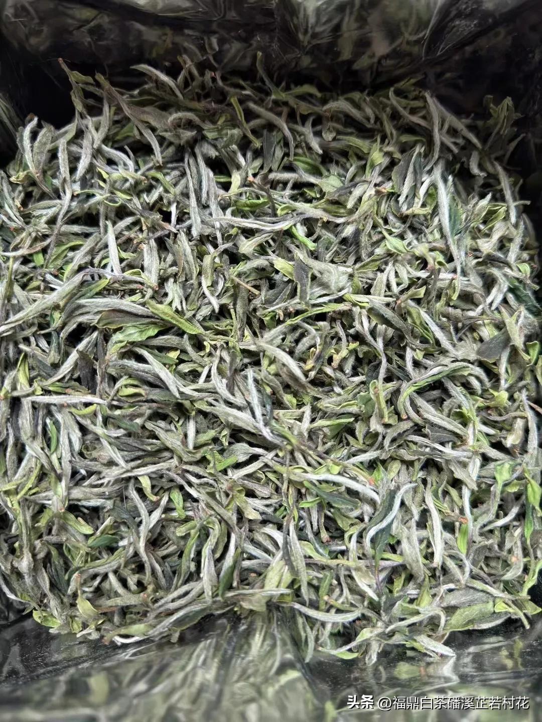 Fuding white tea raw materials and crafts, which one has a greater ...