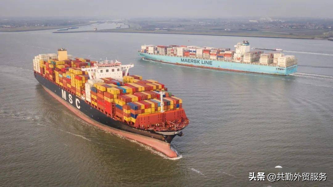 Still buying boats in bulk!MSC wants to part ways with Maersk? - iNEWS