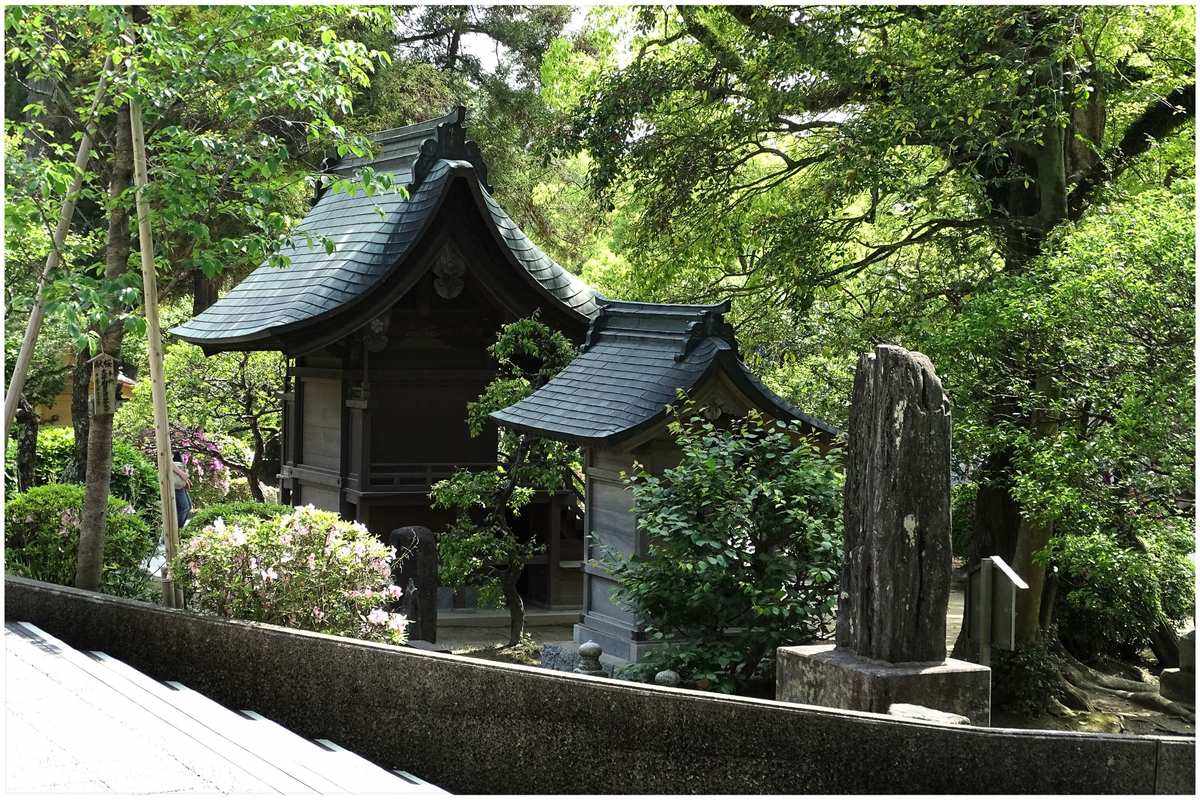 Starting from the spatial evolution of ancient Japanese temple ...
