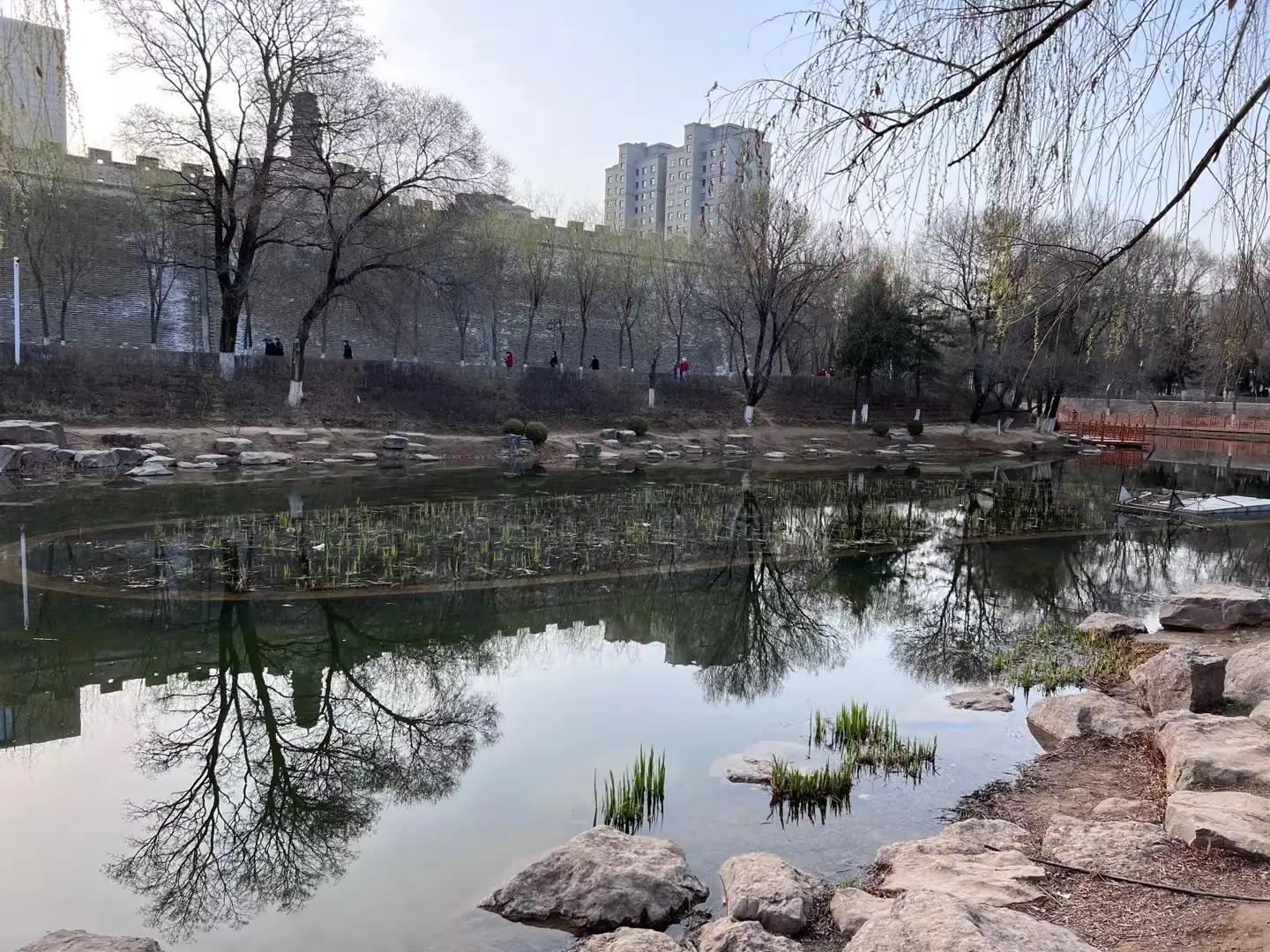 A Poem a Day: The Spring Cold is Awakening to Insects Author: Liu Xiao ...