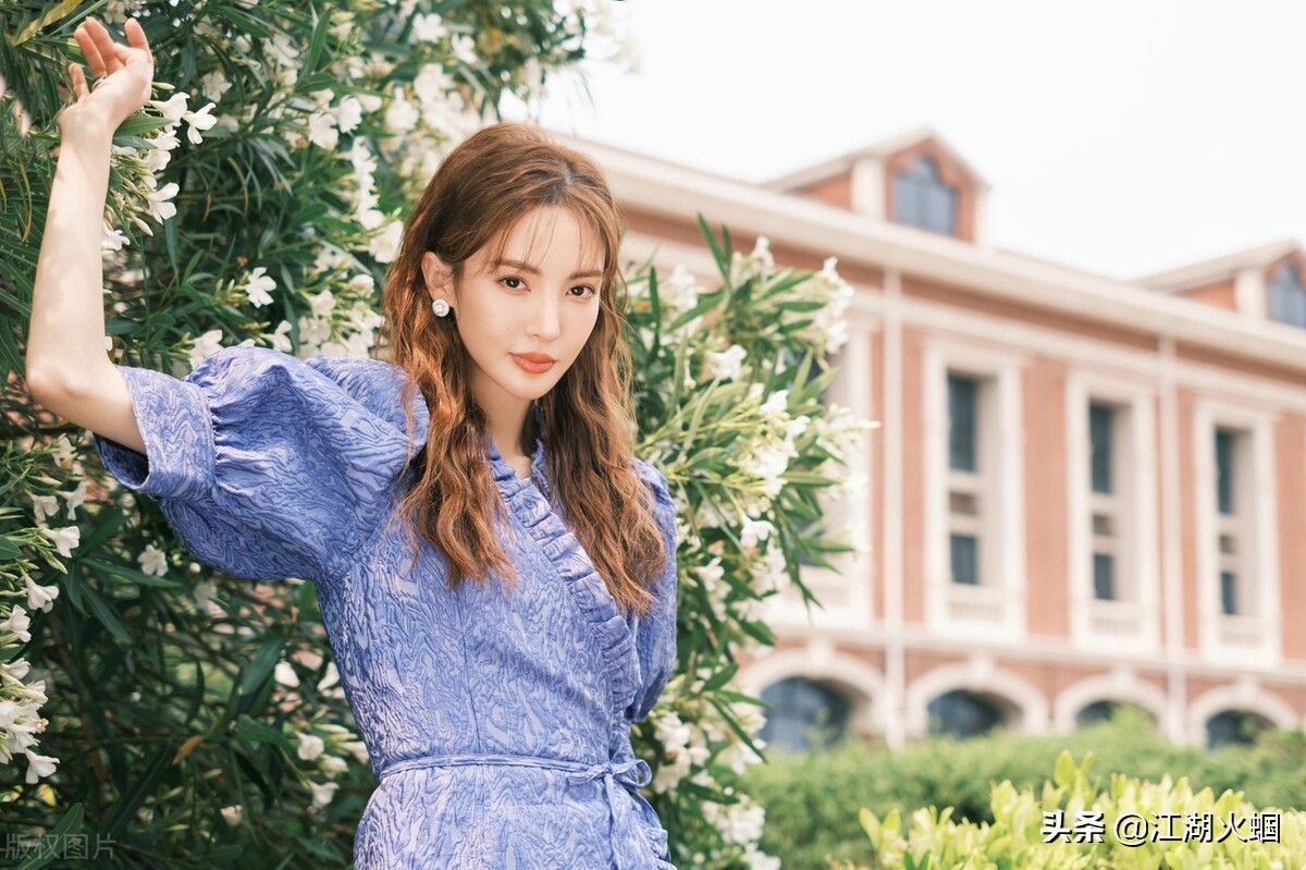 Gossip: Ren Jialun, Tan Songyun, Jin Chen, Yang Zina, Lan Yingying, Lin ...
