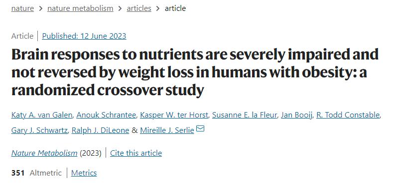 Obesity affects the brain's response to nutrients - iNEWS