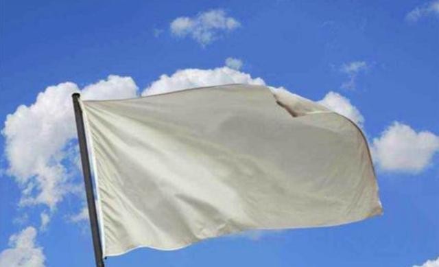 The only country in the world that uses a white flag as its national ...