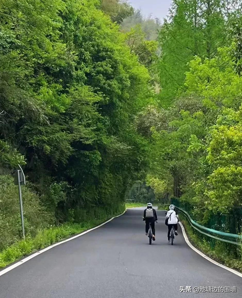 Always go to Moganshan - iNEWS