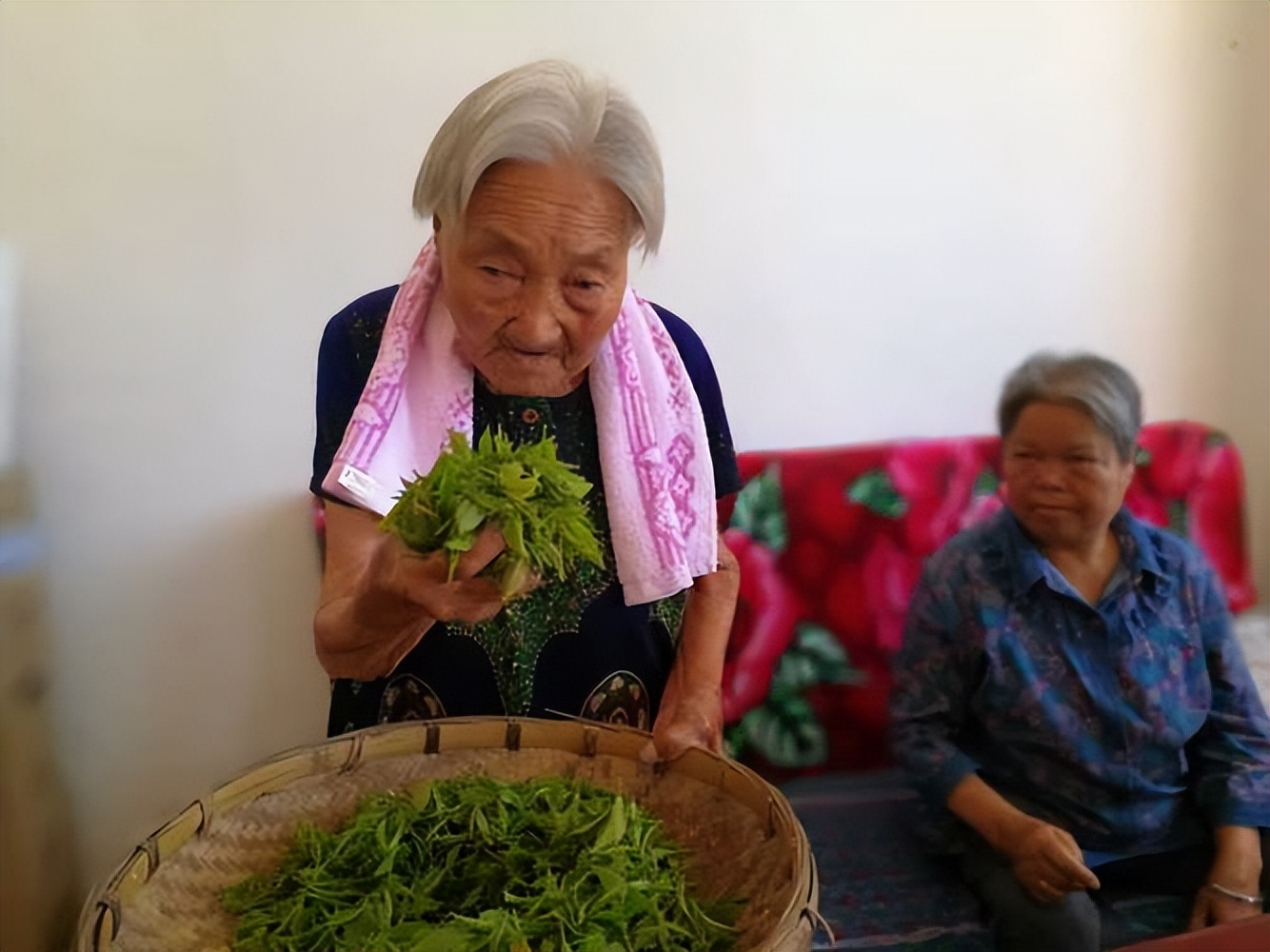 Grandma couldn't resist the temptation of money, so she decisively sold ...