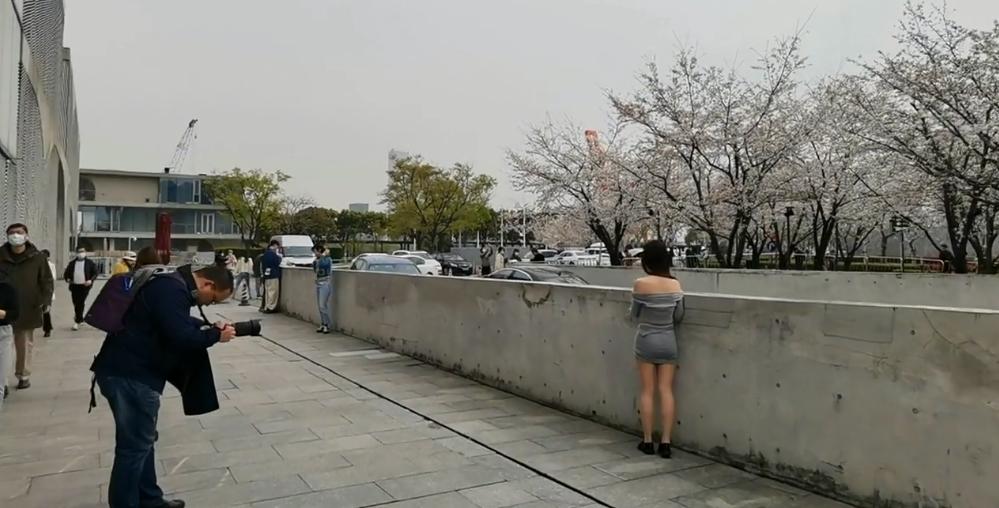Cherry blossoms attract tourists in the Riverside Park in Xuhui ...