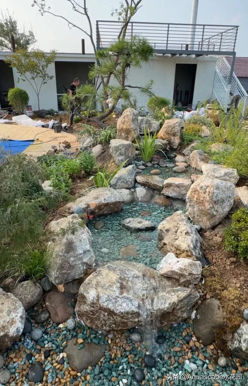 Ecological fish pond construction and maintenance strategy - iNEWS