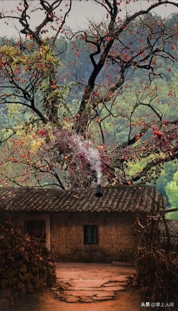 Why is what the old man Lu You said is right? - iNEWS