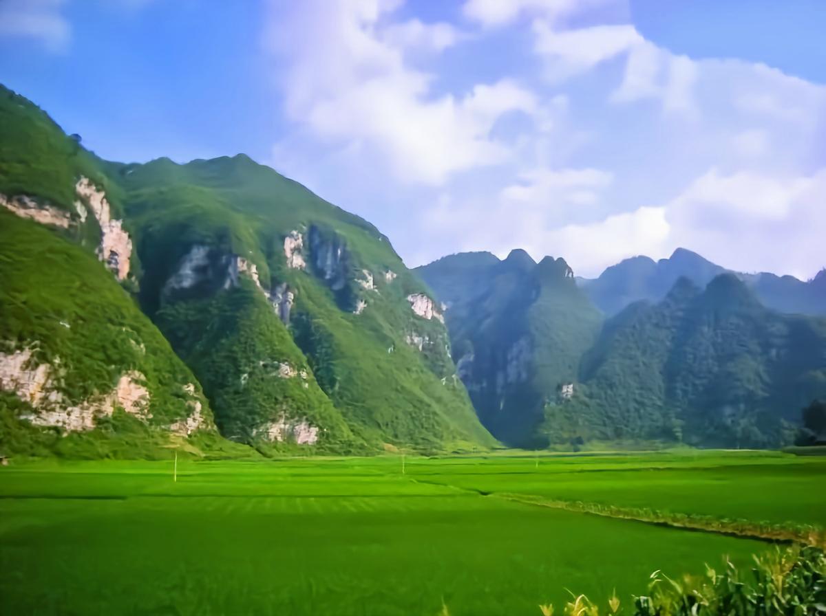 Meet Lingxiu Xihe - iNEWS