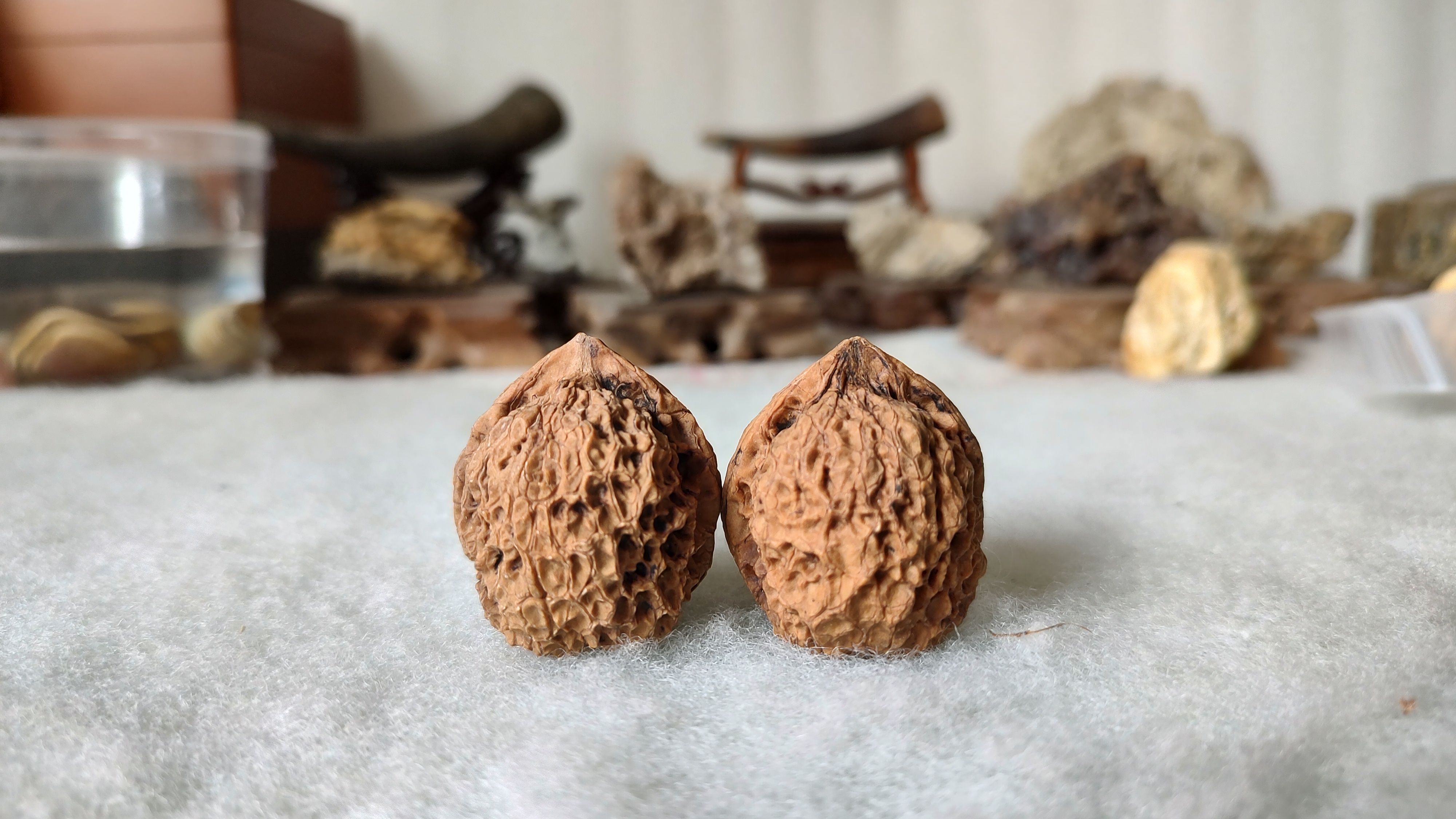 Feng's Wenwan Collection: Iron Walnut Iron Hat King - iNEWS