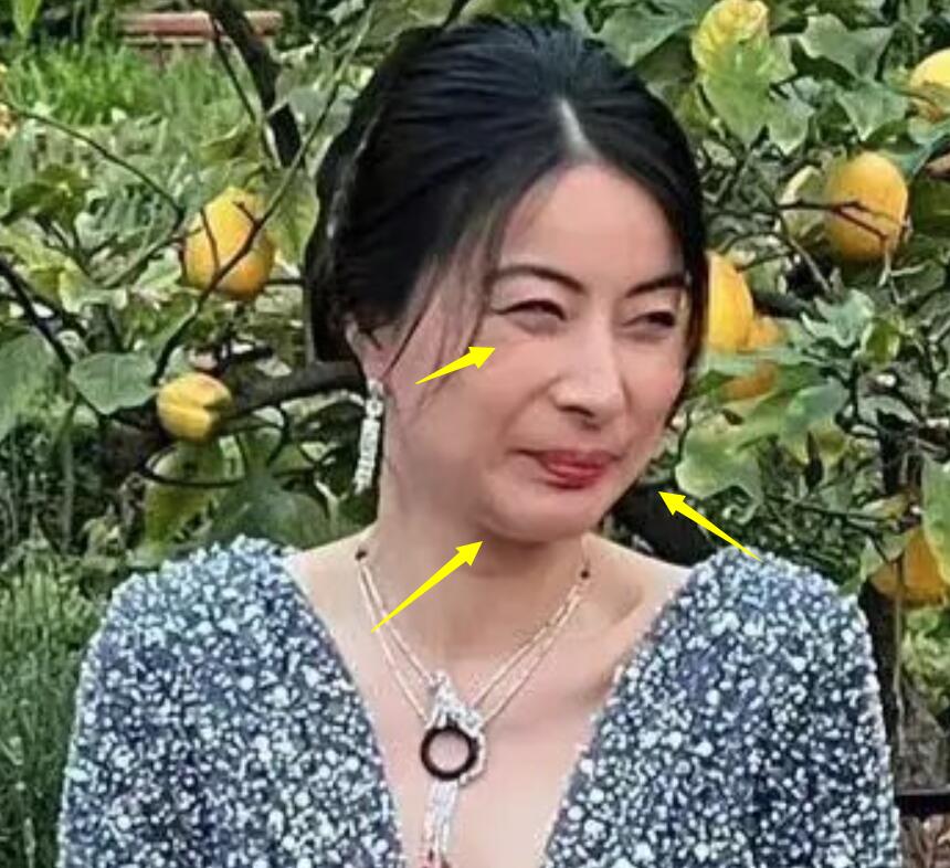 Gong Li and Guo Jingjing break the dimensional wall in the same frame ...