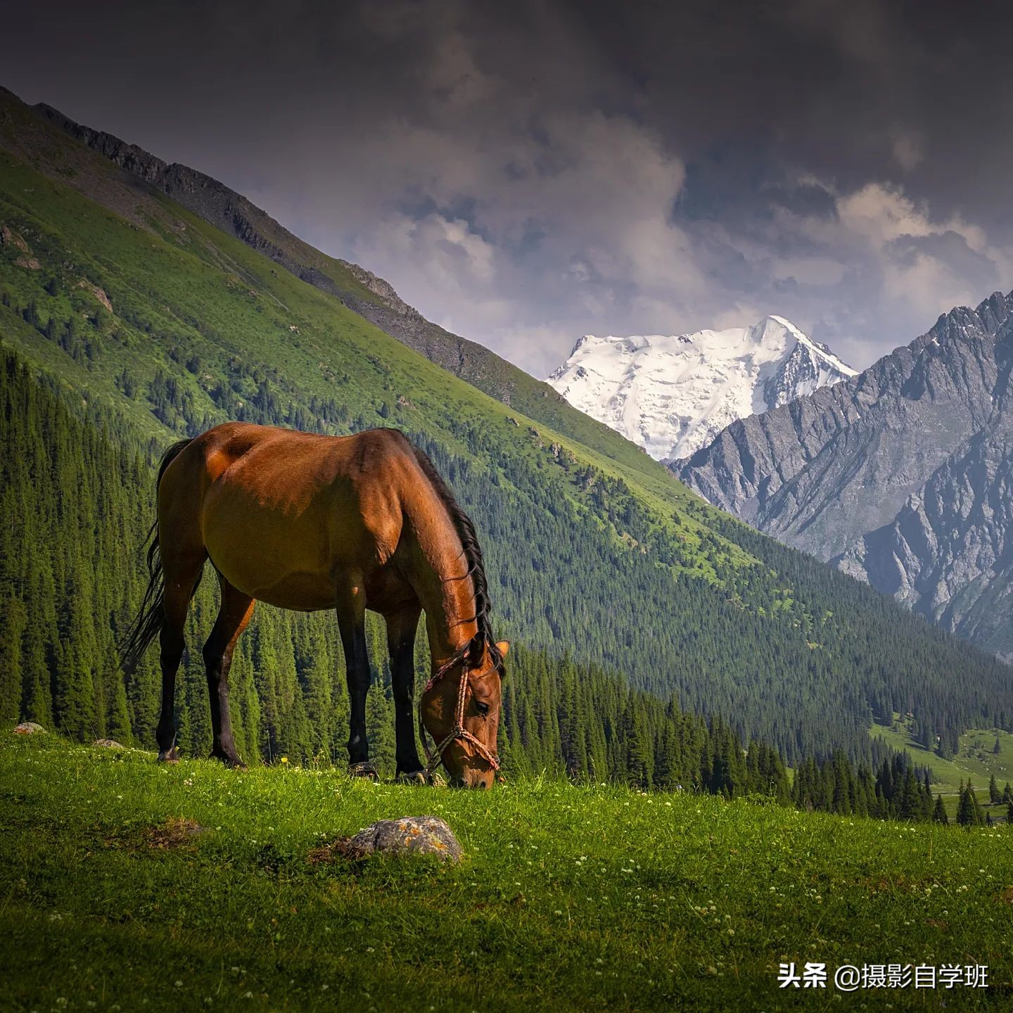 Professional photographers, these 5 landscape photography skills will ...