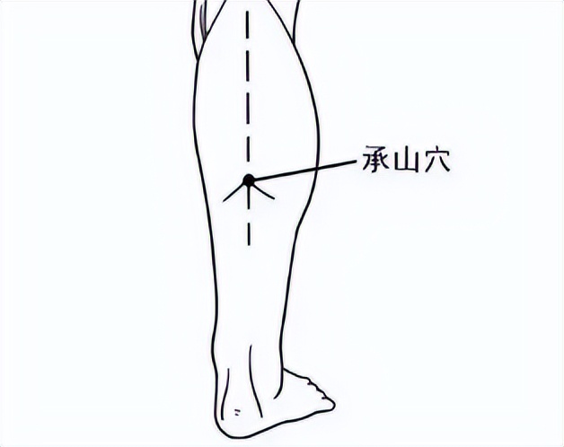 The importance of the calf is comparable to the heart, but ...