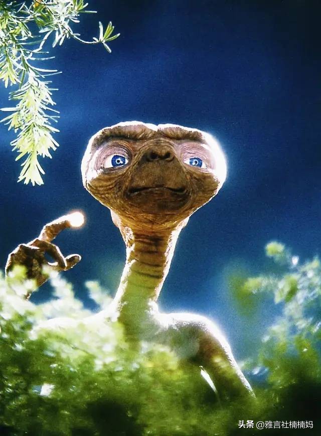 "Amazing accident" makes "ET Alien" live again! - iMedia