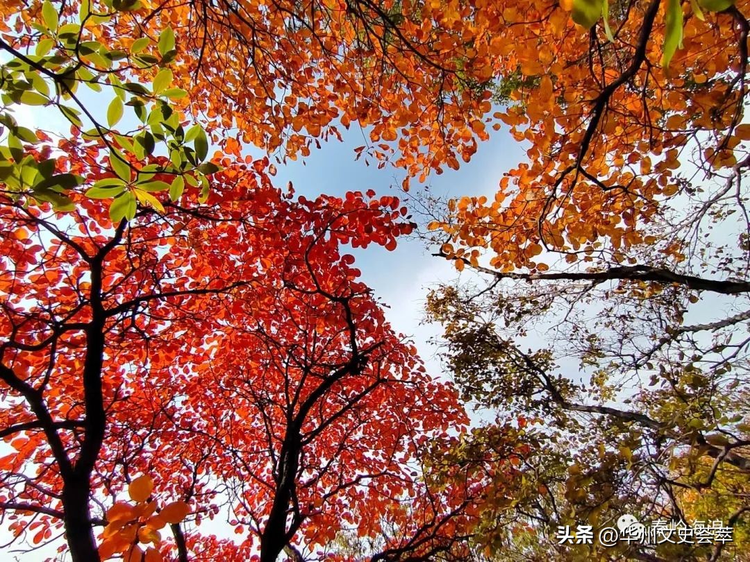 Crossing the Five Peaks of Shaohua Mountain in Huazhou in Late Autumn ...