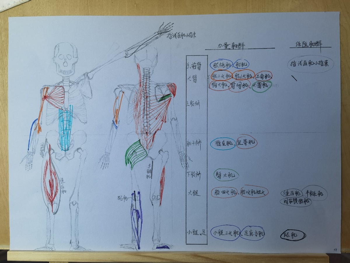 Getting Started - Training Divide - iMedia