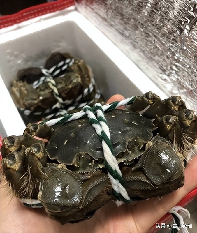 Management measures for healthy breeding of crabs in high temperature ...