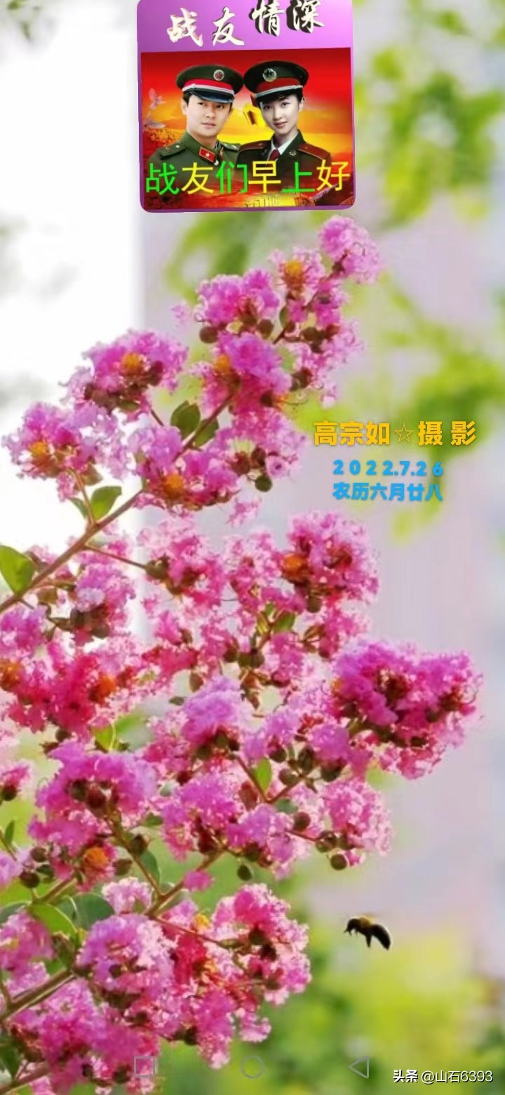 "Comrade-in-arms' beautiful text" Sun Mingyong's "August 1st Message ...