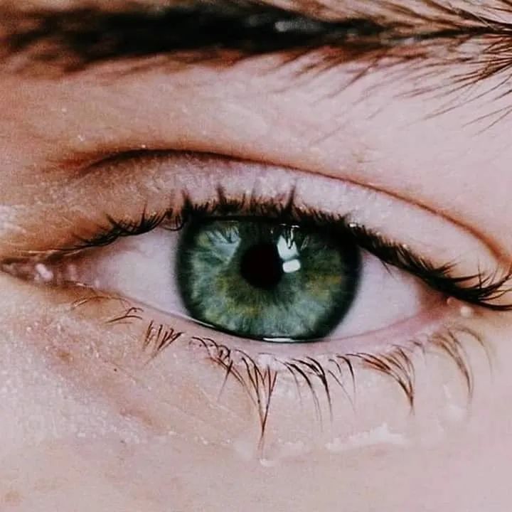 Harry Styles Vienna Concert Attacked, Eye Injured! - iMedia