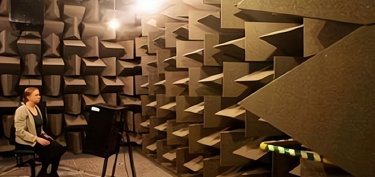 Absolutely silent room challenge, the prize money is huge, but no one ...